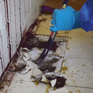 Biohazard Cleanup Services | Steri-Clean