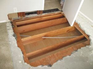 Decomposition Cleanup | Steri Clean