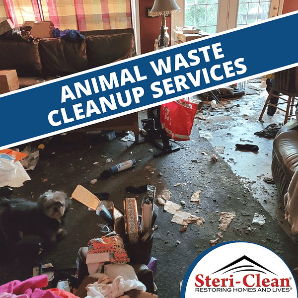 Arlington TX Animal Waste Cleanup | Call (469) 320-9810 | Steri-Clean